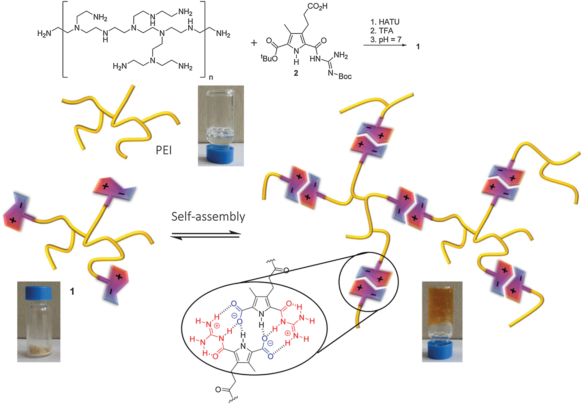 Transforming polyethylenimine into a pH-switchable hydrogel by ...