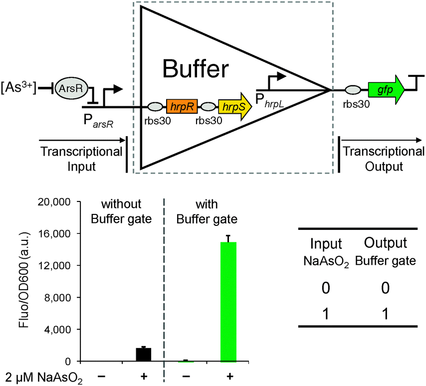 Rapid engineering of versatile molecular logic gates using heterologous ...