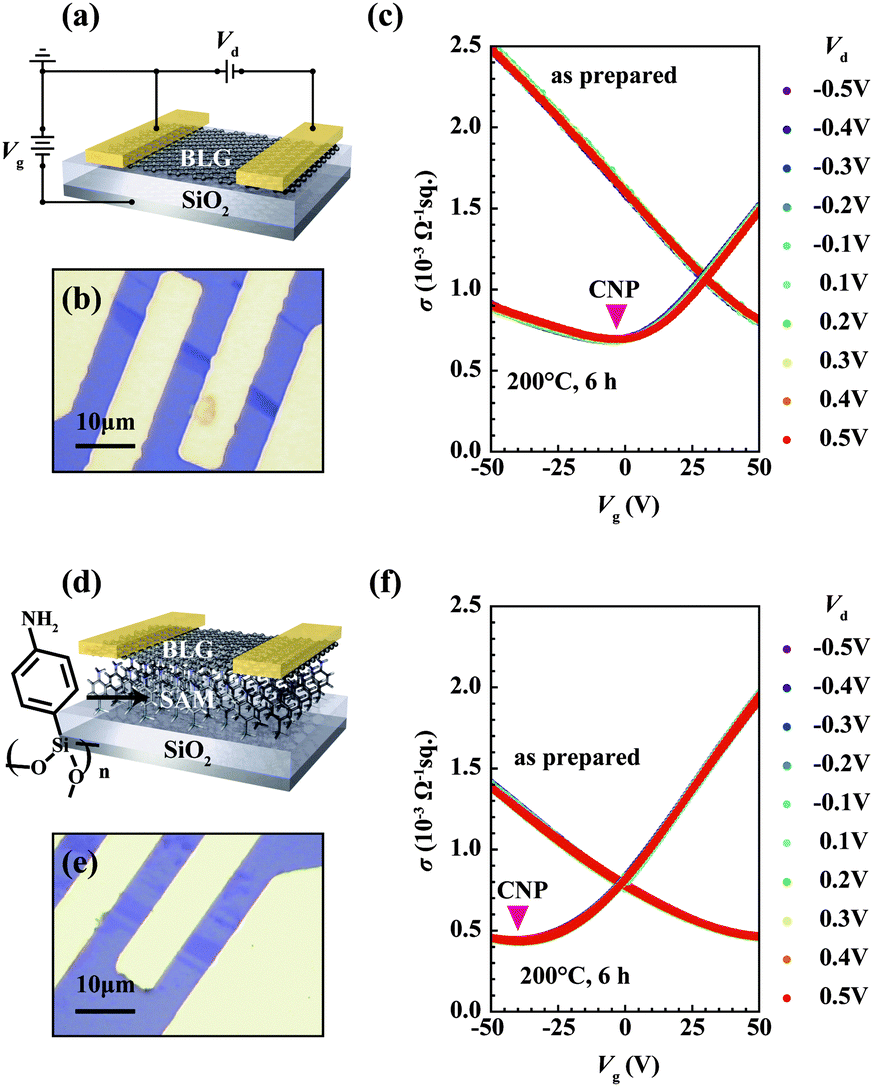 Polaron coupling in graphene field effect transistors on patterned self ...