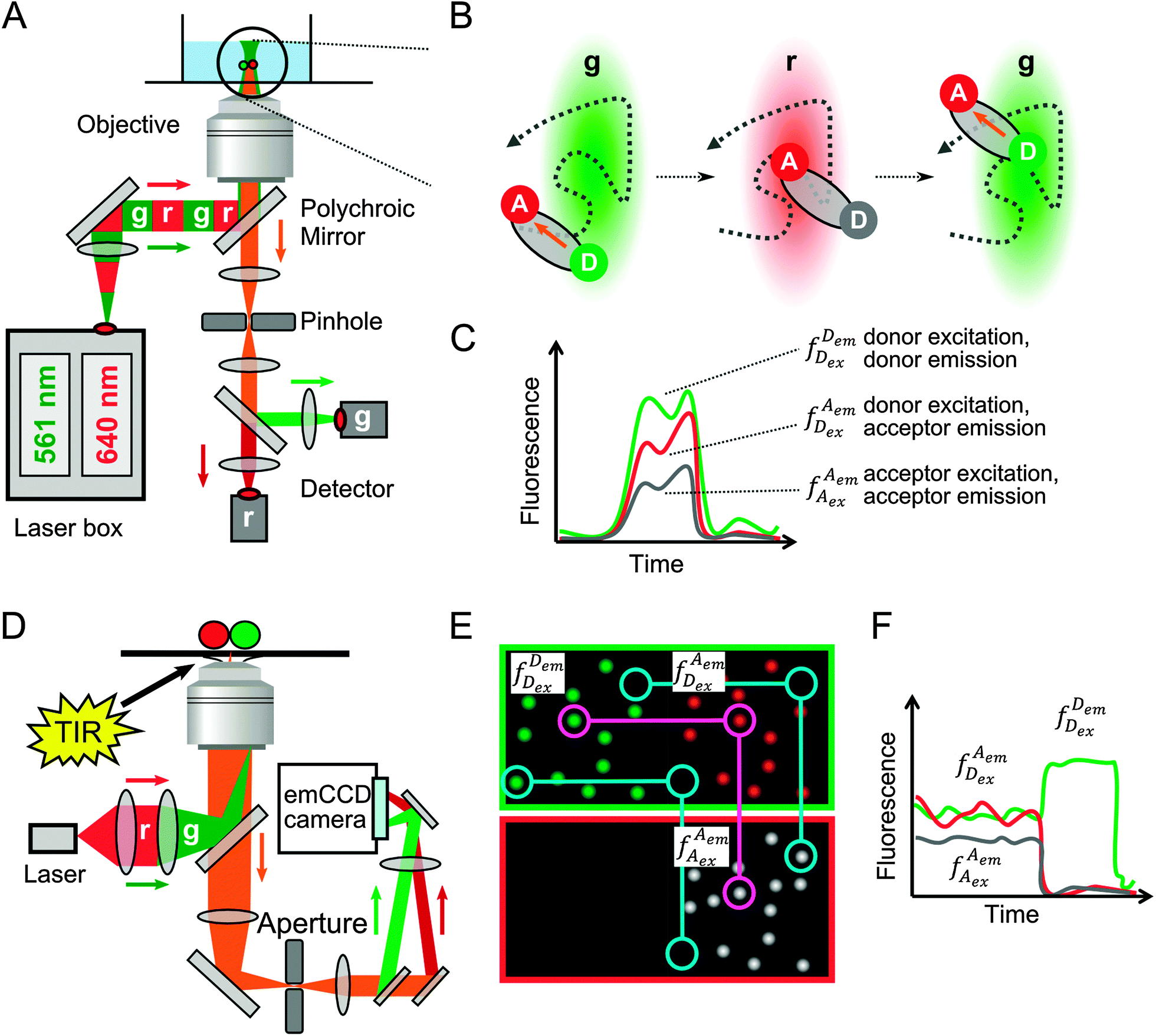 Alternating-laser excitation: single-molecule FRET and beyond ...