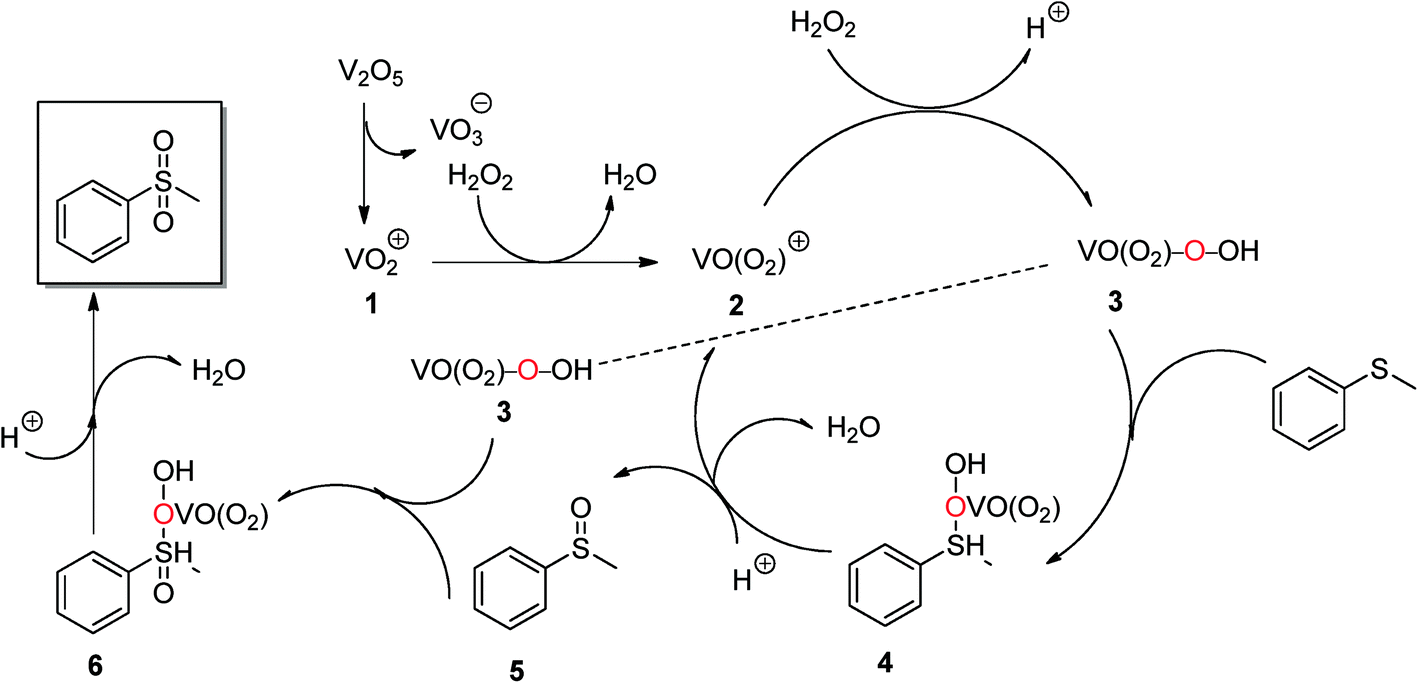 Efficient and convenient oxidation of sulfides to sulfones using H 2 O ...