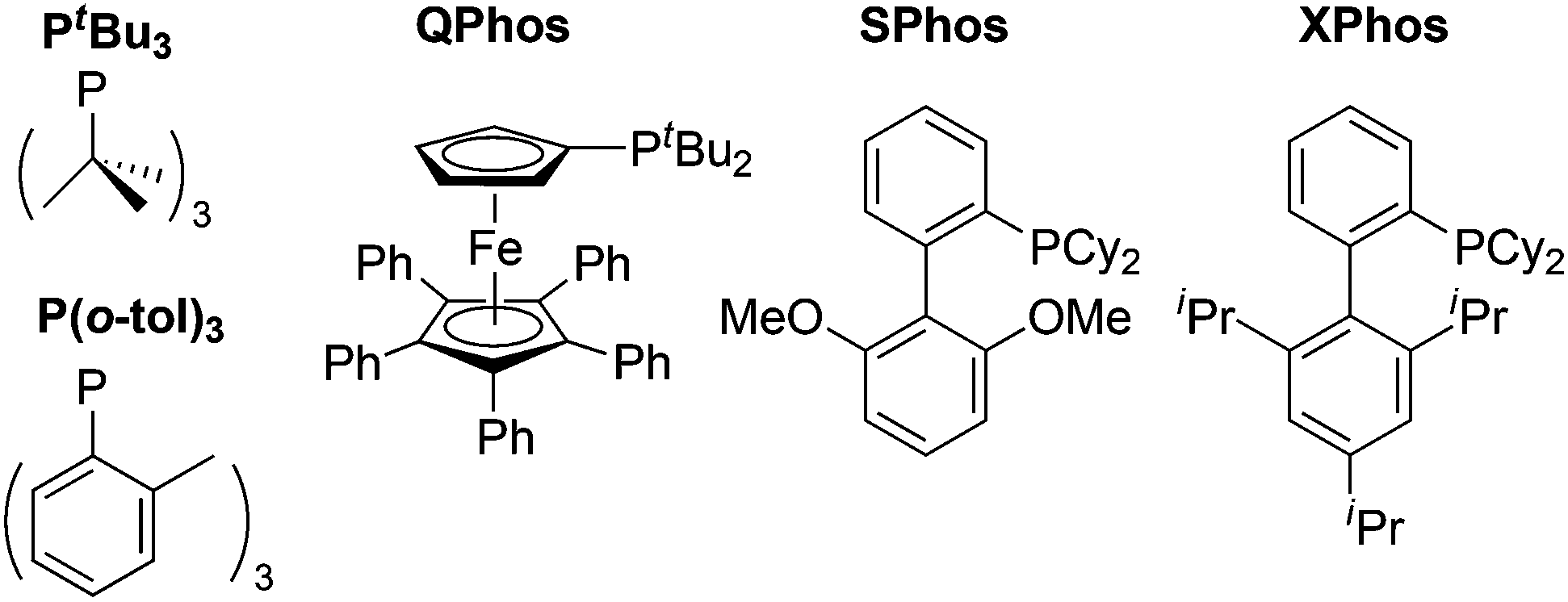 Computed ligand effects on the oxidative addition of phenyl halides to ...