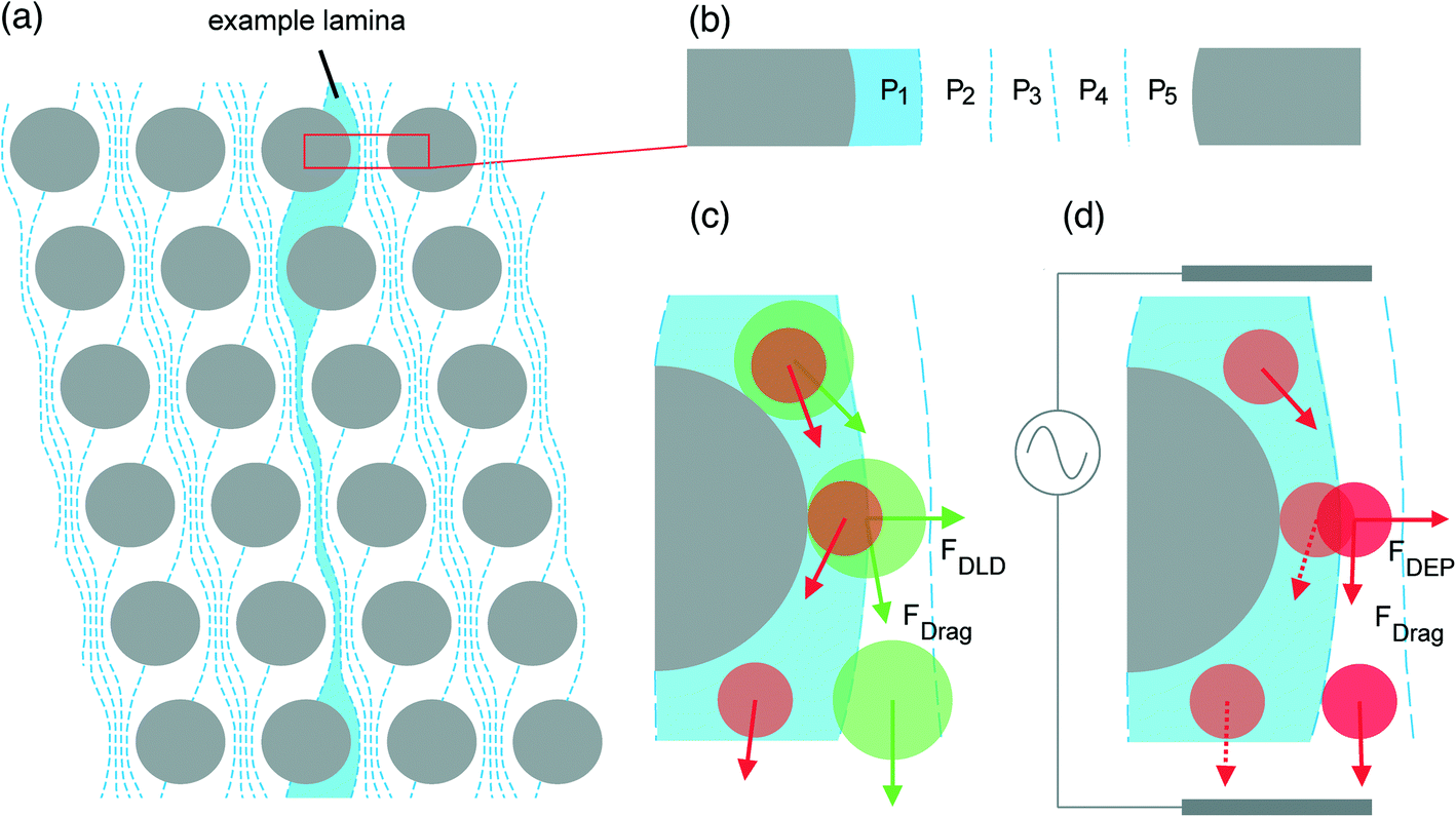 Deterministic lateral displacement for particle separation: a review - Lab on a Chip (RSC ...