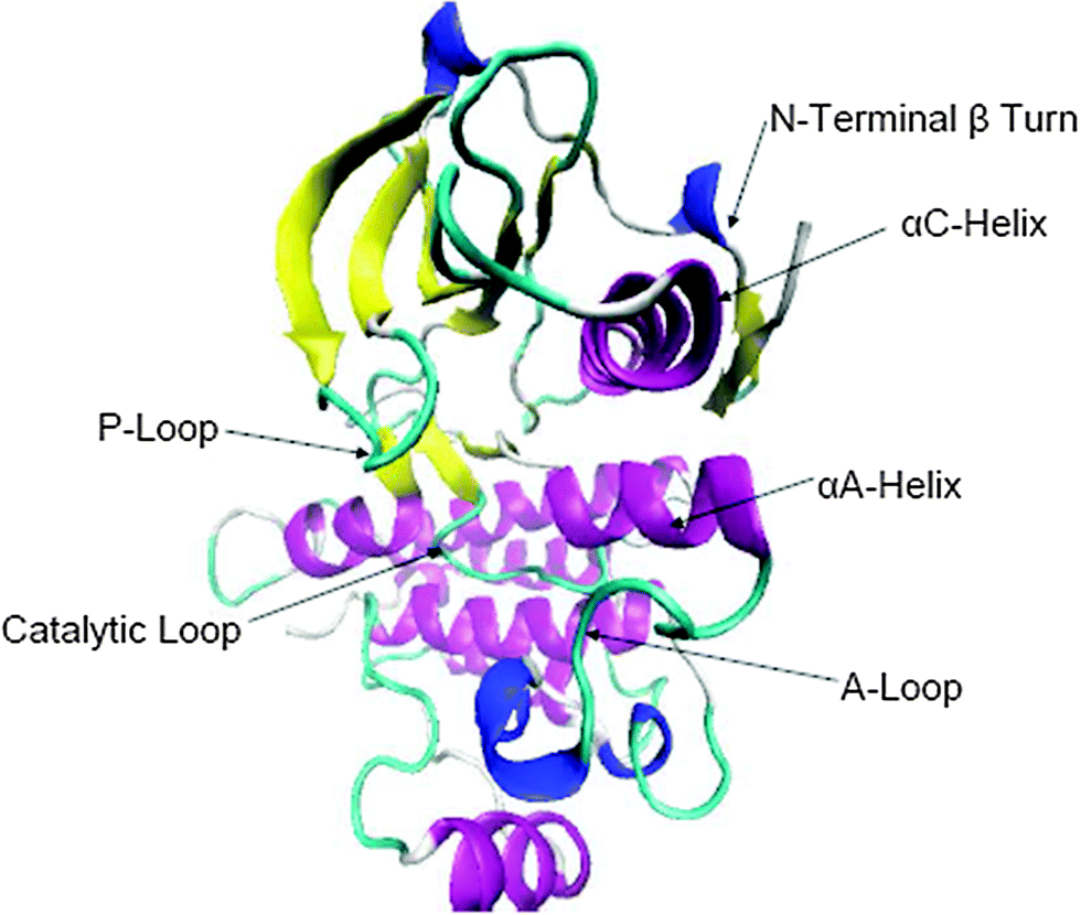 How does conformational flexibility influence key structural features ...