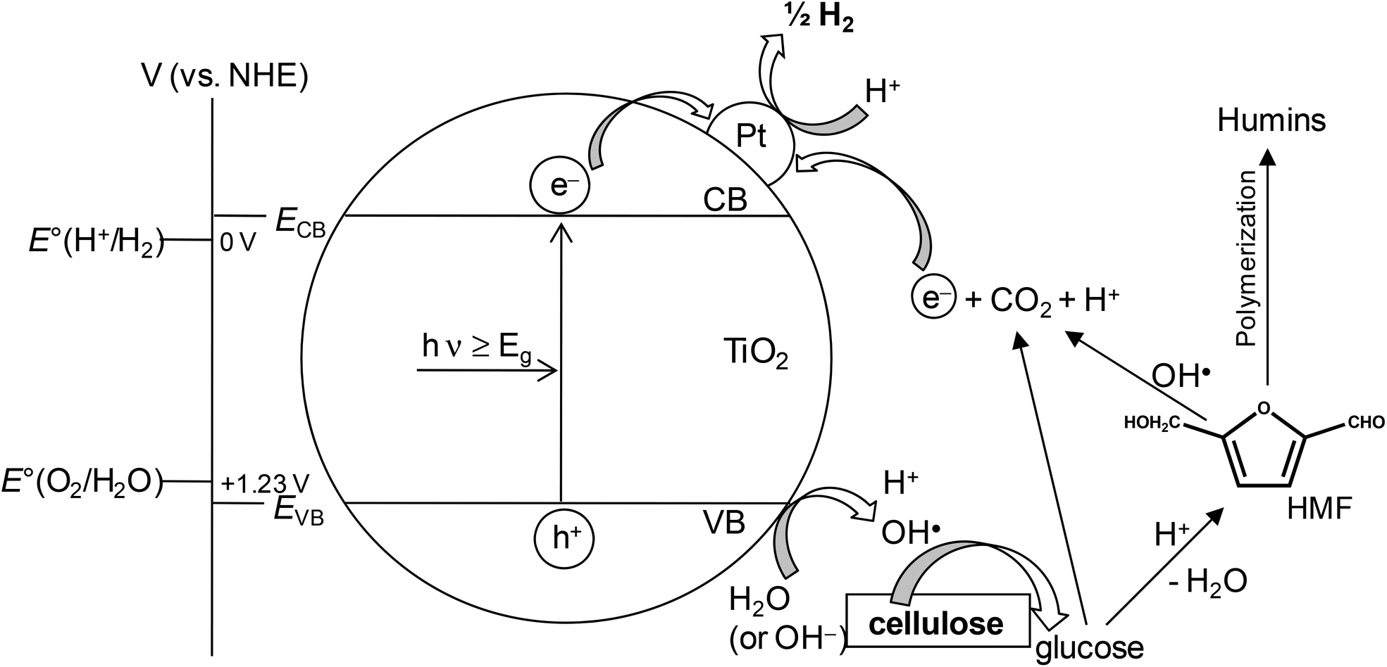 Sunlight-promoted photocatalytic hydrogen gas evolution from water ...
