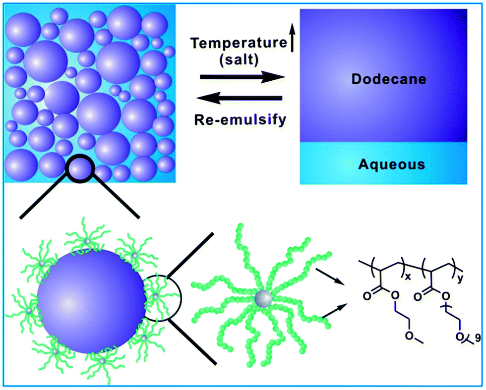 Core cross-linked star (CCS) polymers with temperature and salt dual ...