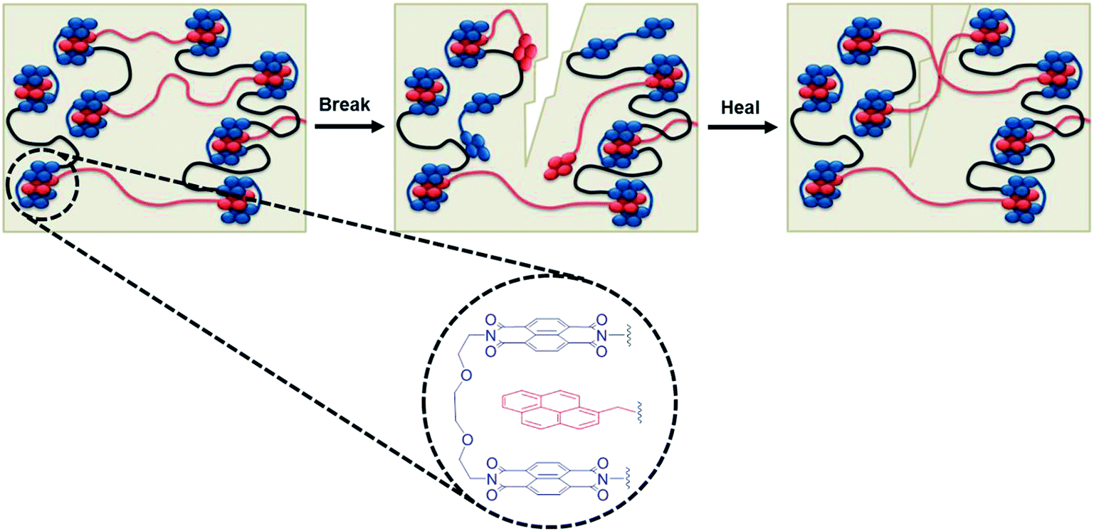 Multivalency in healable supramolecular polymers: the effect of ...