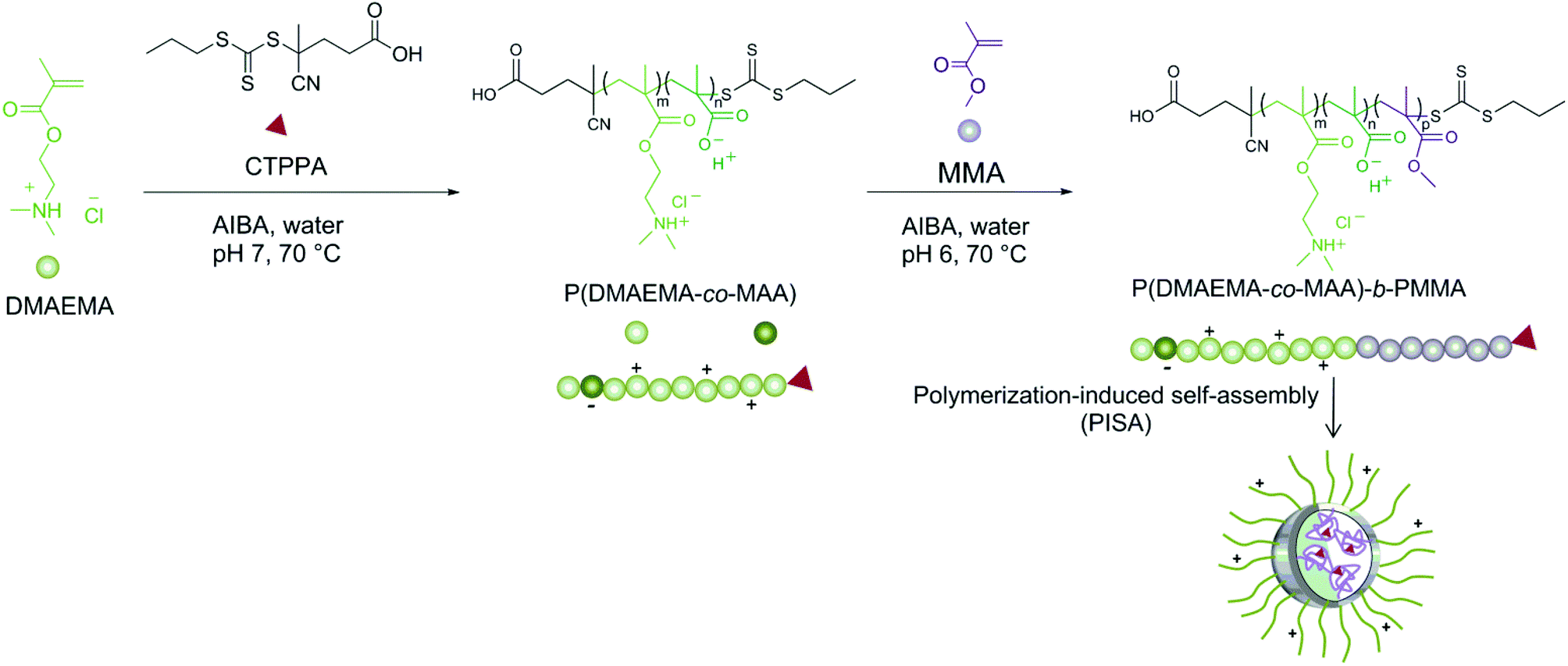 Modification of cellulose model surfaces by cationic polymer latexes ...