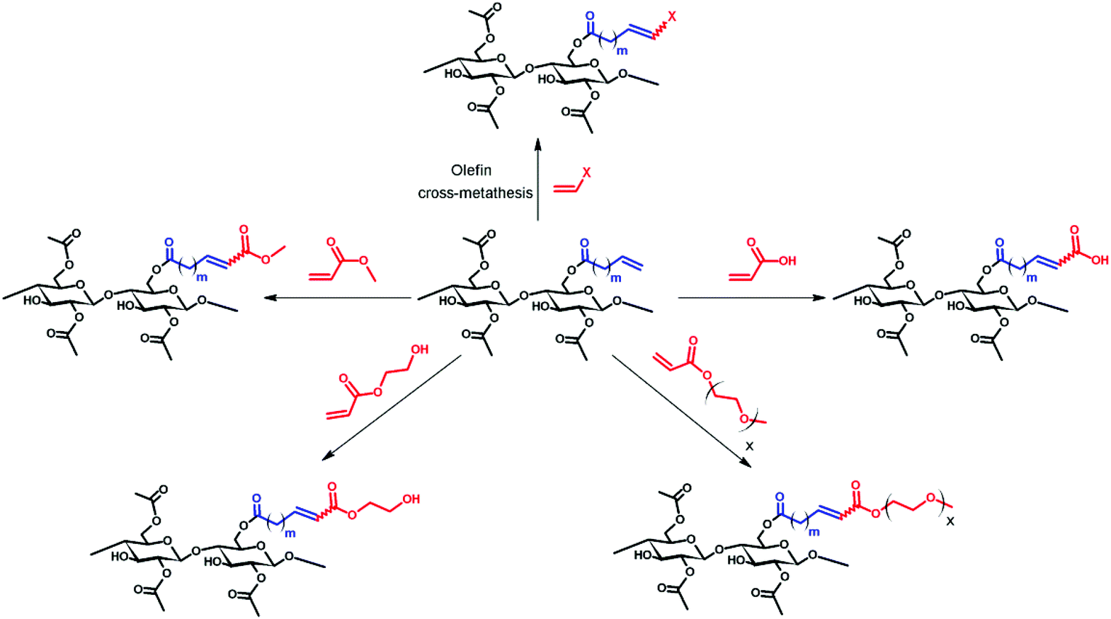 Olefin cross-metathesis, a mild, modular approach to functionalized ...