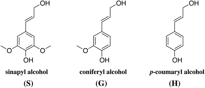 The pros and cons of lignin valorisation in an integrated biorefinery - RSC Advances (RSC ...