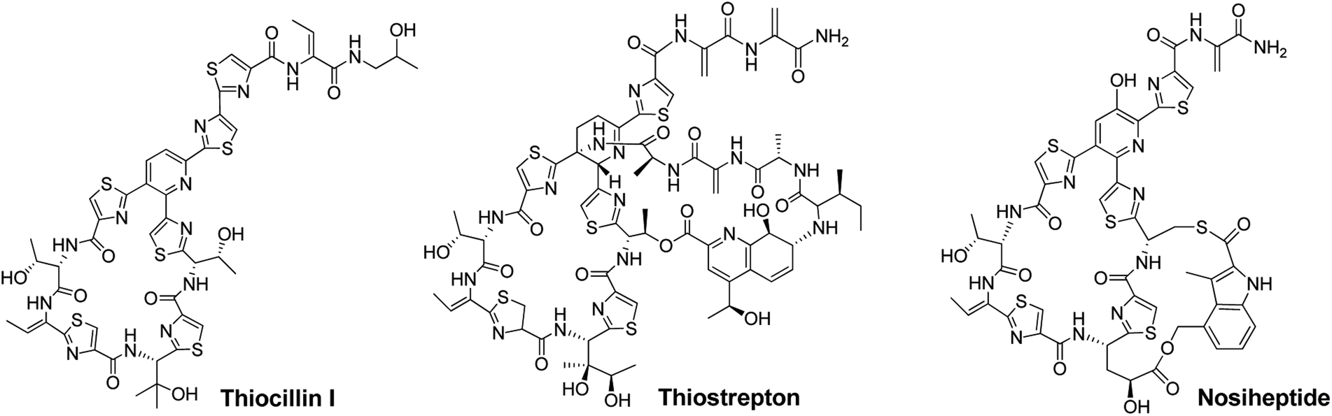 Insight into bicyclic thiopeptide biosynthesis benefited from ...