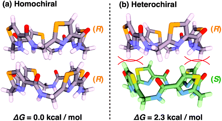 Homochiral supramolecular polymerization of bowl-shaped chiral ...