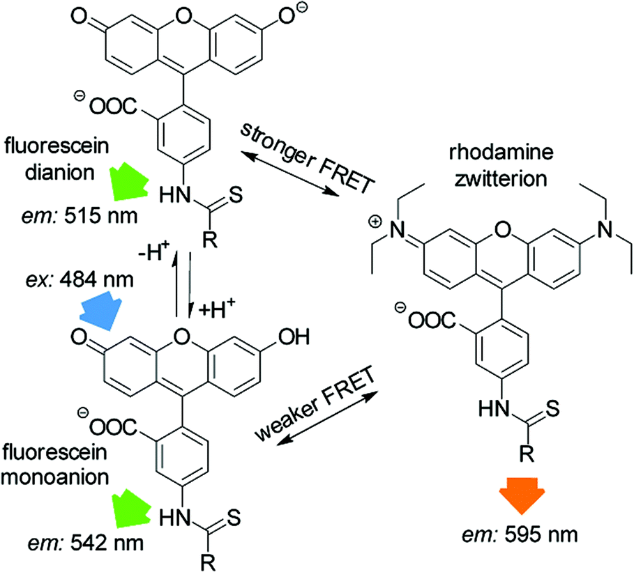 Incorporation of a FRET dye pair into mesoporous materials: a ...