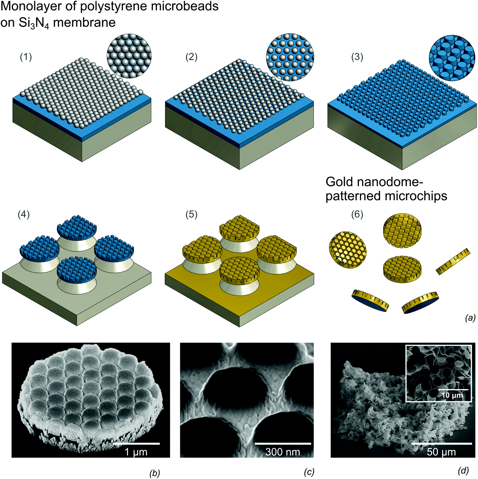 Gold nanodome-patterned microchips for intracellular surface-enhanced ...