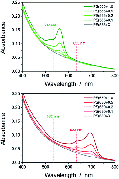 Effect of fluorescent staining on size measurements of polymeric ...