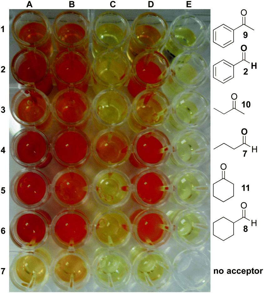 A rapid, sensitive colorimetric assay for the high-throughput screening ...
