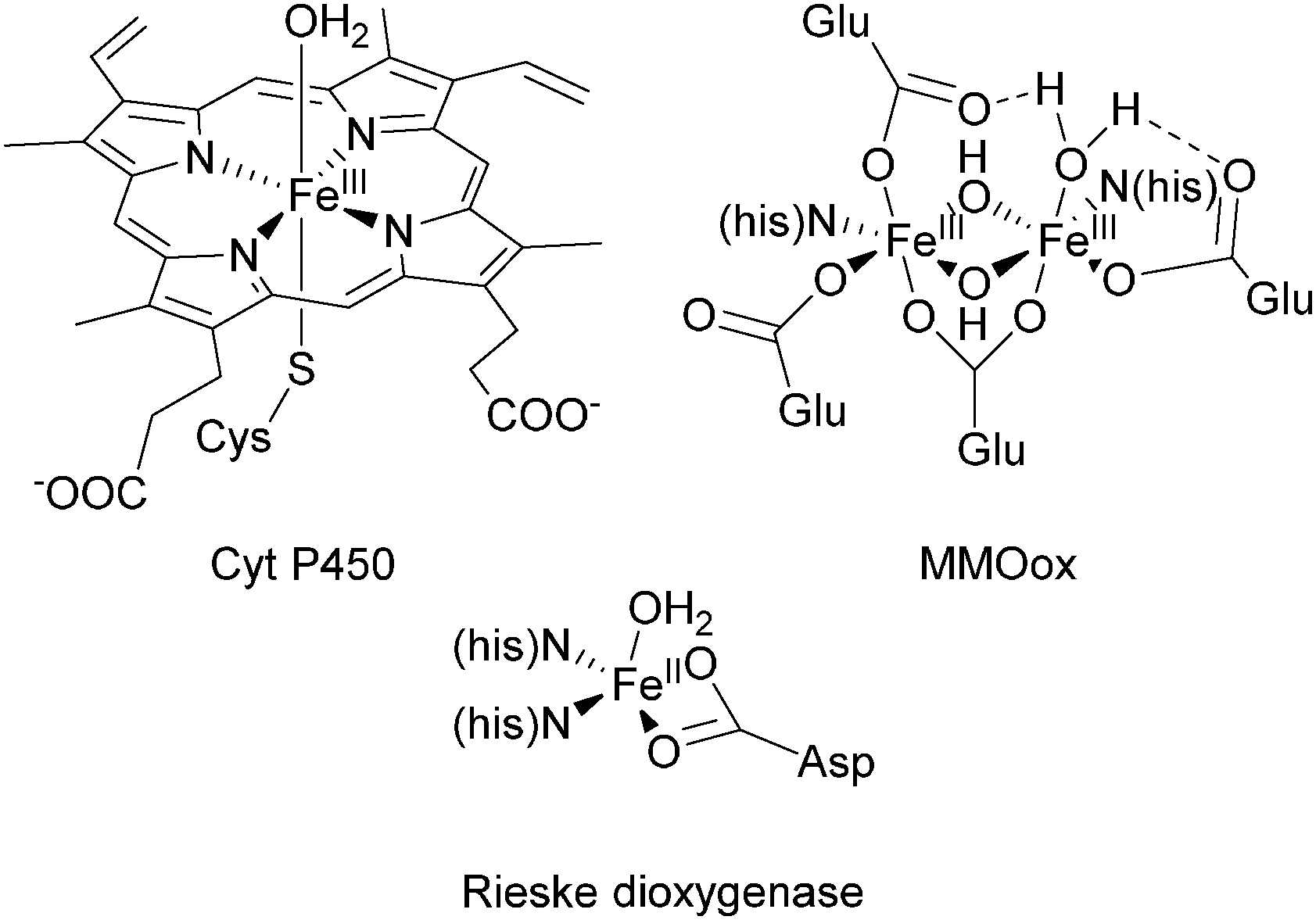 Molecular iron complexes as catalysts for selective C–H bond ...