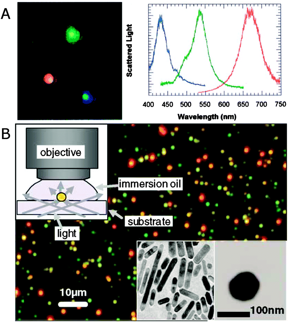 Optical characterization of single plasmonic nanoparticles - Chemical ...