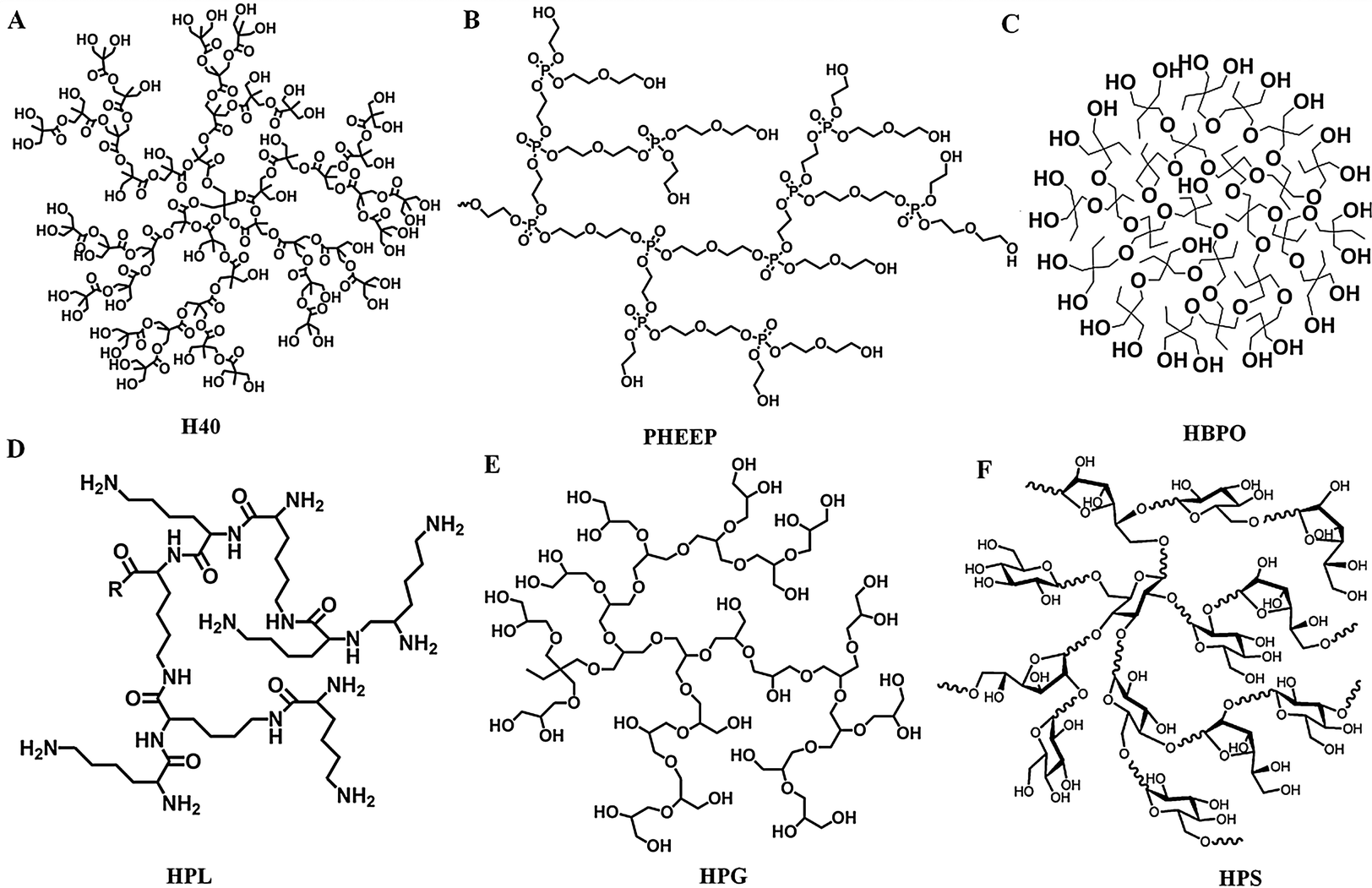 Bioapplications of hyperbranched polymers - Chemical Society Reviews ...