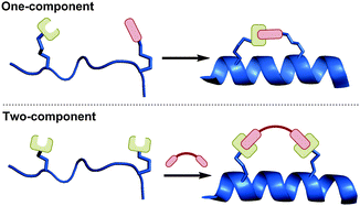 Peptide stapling techniques based on different macrocyclisation ...