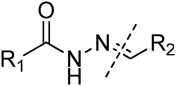 Micro- and nanogels with labile crosslinks – from synthesis to ...
