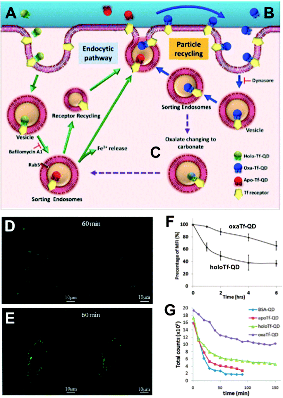 internalization,_大山谷图库