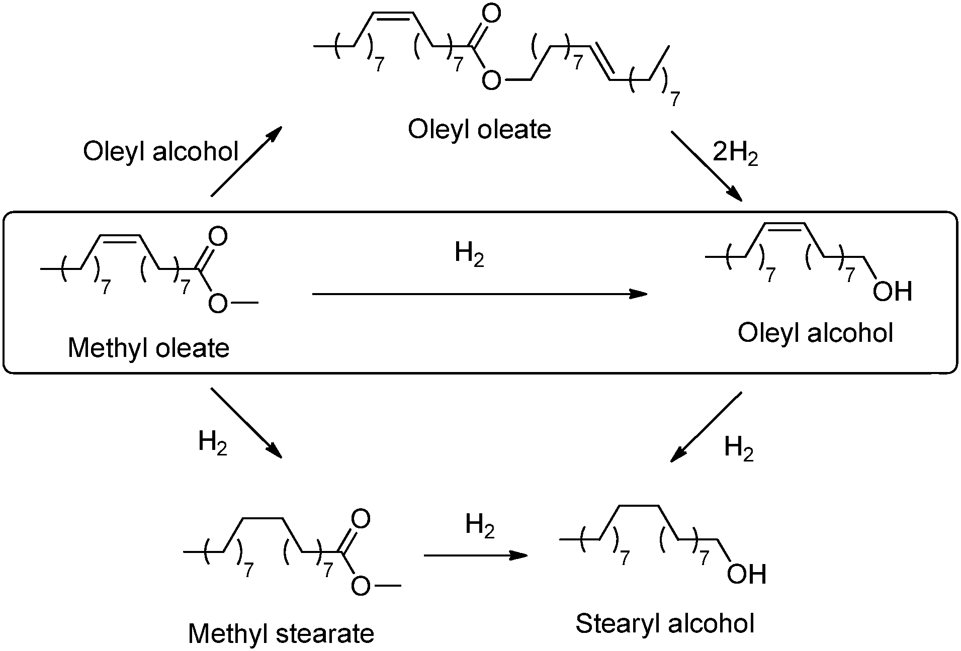 Heterogeneous and homogeneous catalysis for the hydrogenation of ...