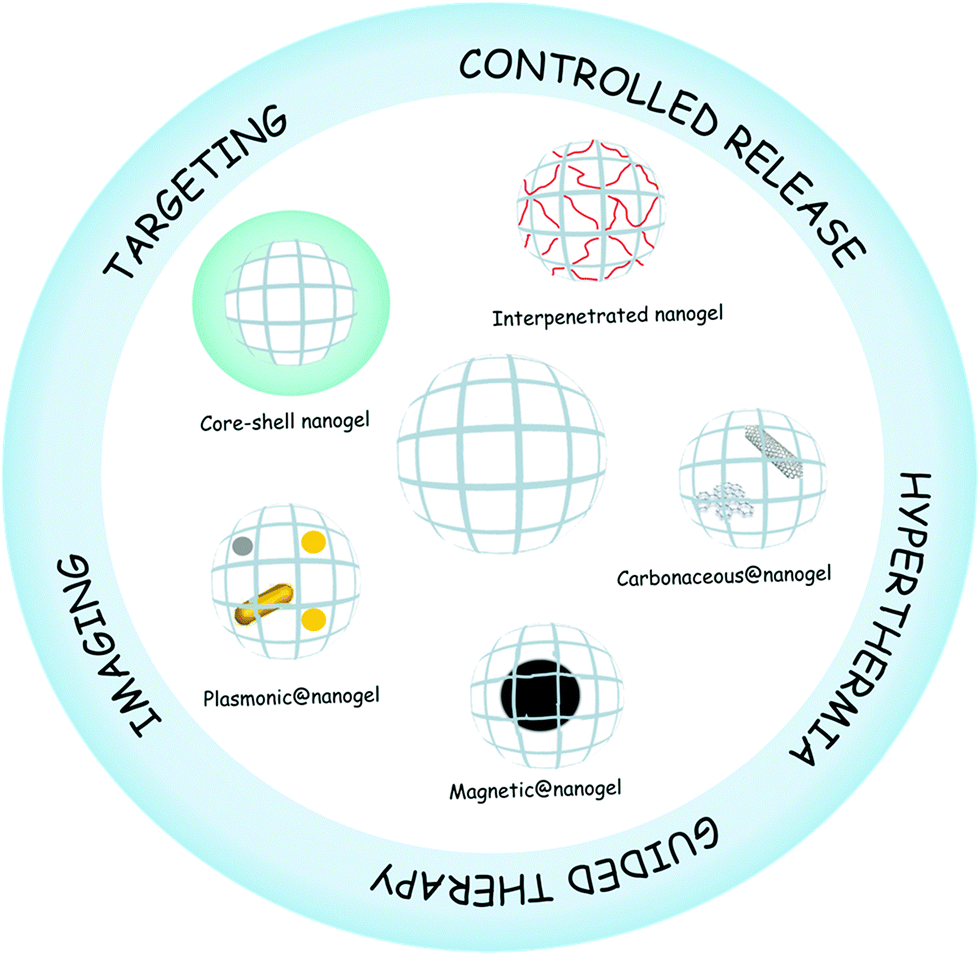 Stimuli-responsive nanogel composites and their application in ...