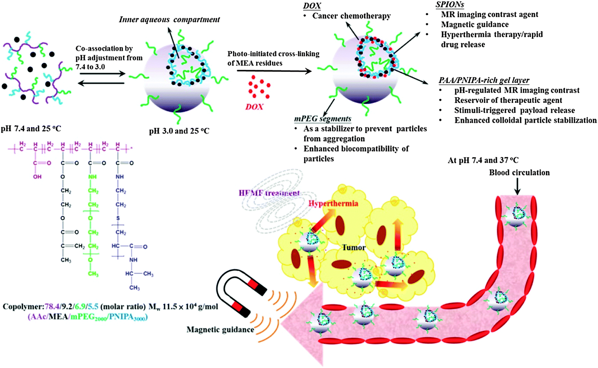 Stimuli-responsive nanogel composites and their application in ...
