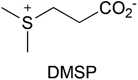 Dimethylsulfoniopropionate - Alchetron, the free social encyclopedia