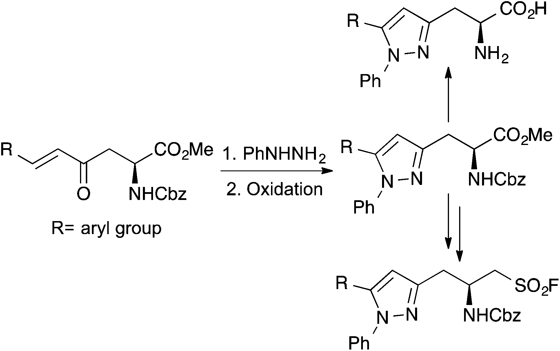Amino Acid Condensation Reaction Mechanism