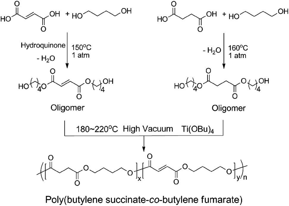 Polybutylene succinate - Alchetron, The Free Social Encyclopedia
