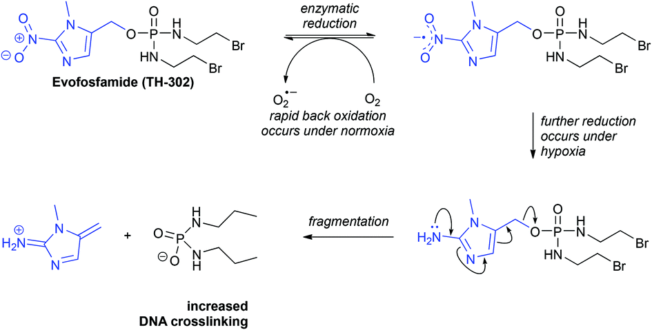 Efficient synthesis of 2-nitroimidazole derivatives and the bioreductive clinical candidate ...