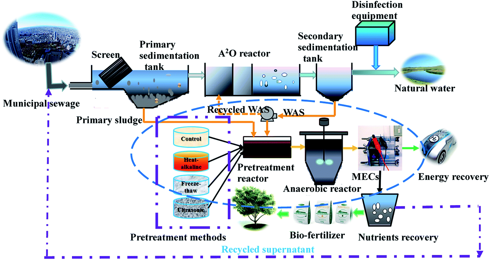 Toward bioenergy recovery from waste activated sludge: improving bio ...