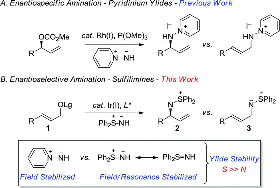 Enantioselective construction of C -chiral allylic sulfilimines via the iridium-catalyzed ...