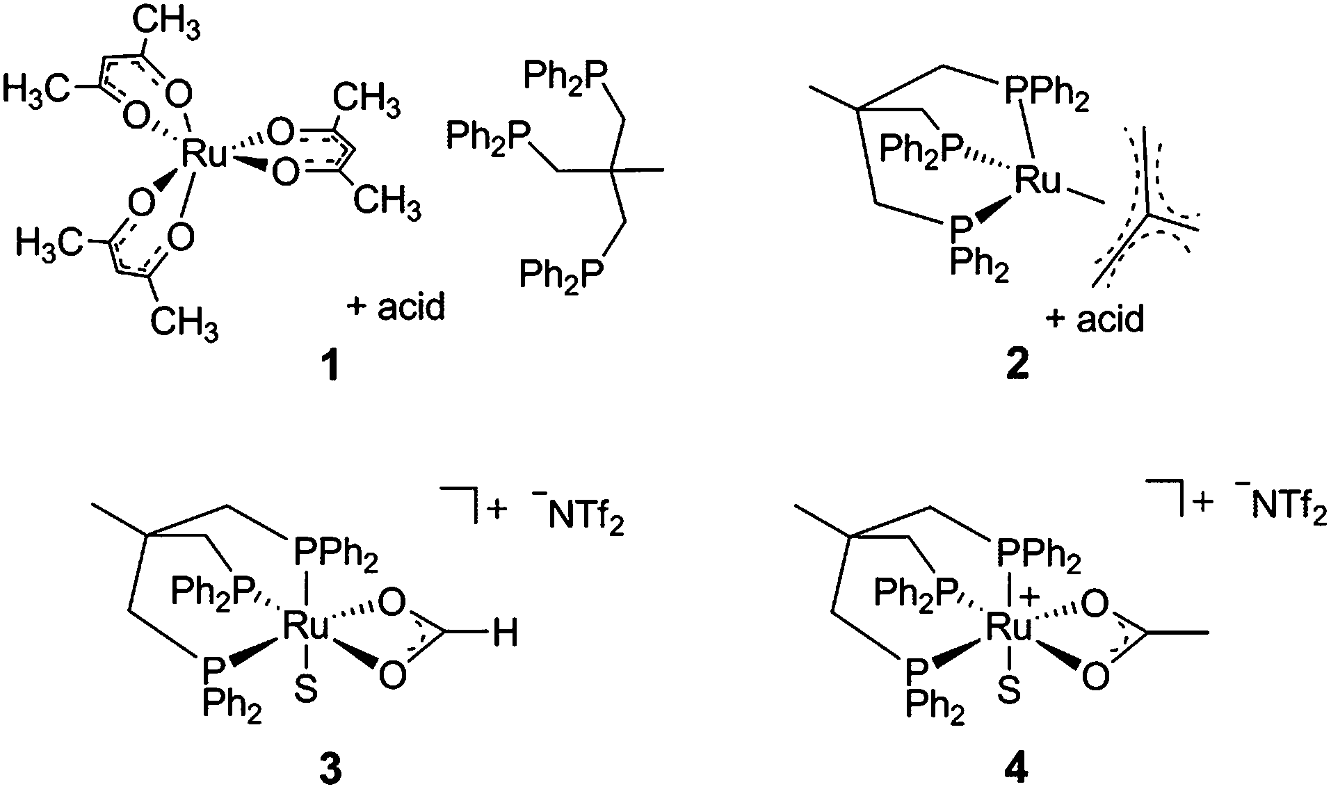 Hydrogenation of carbon dioxide to methanol using a homogeneous ...