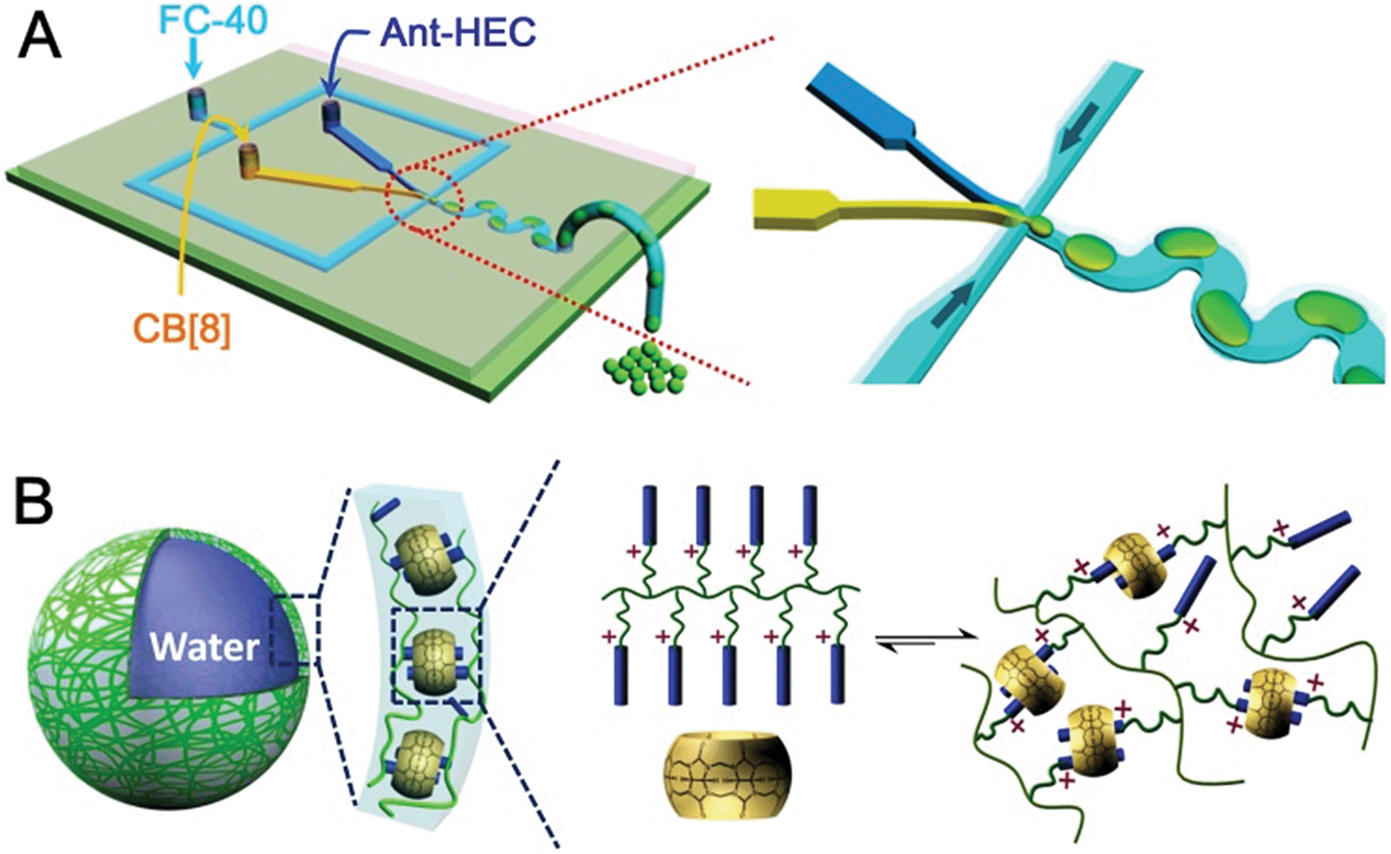 Supramolecular hydrogel microcapsules via cucurbit[8]uril host–guest interactions with triggered ...