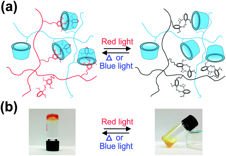 Supramolecular hydrogels constructed by red-light-responsive host–guest interactions for photo ...
