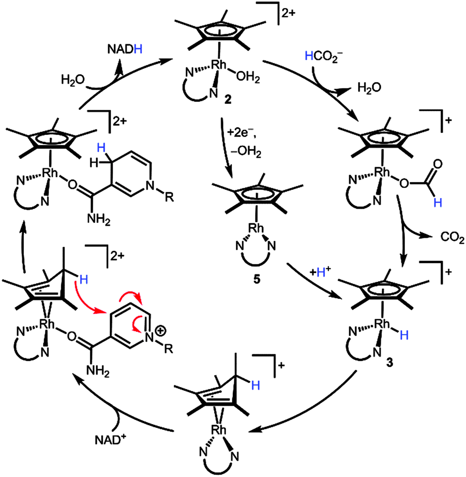 Cyclopentadiene-mediated hydride transfer from rhodium complexes ...