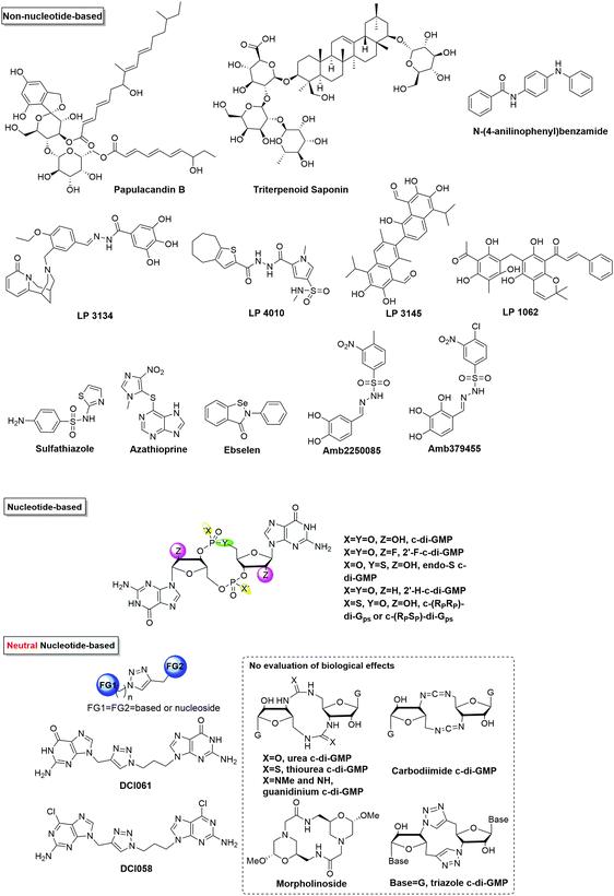 Cyclic dinucleotide (c-di-GMP, c-di-AMP, and cGAMP) signalings have ...