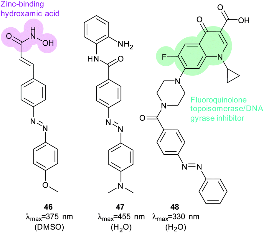 Azobenzene photocontrol of peptides and proteins - Chemical ...