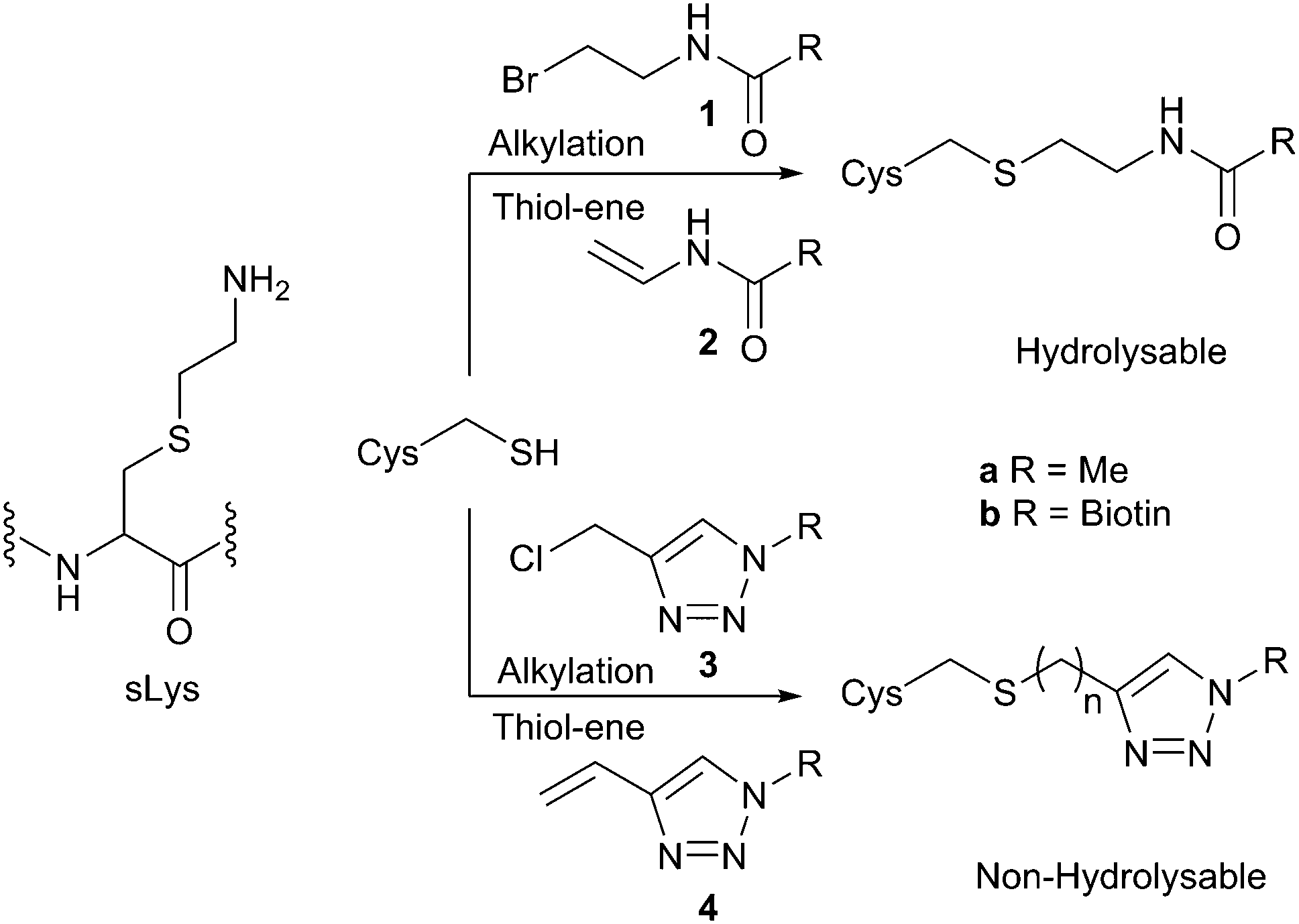 Chloromethyl-triazole: a new motif for site-selective pseudo-acylation ...