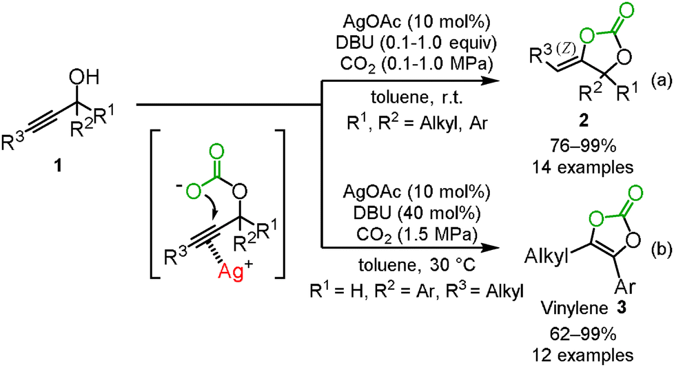 Silver-catalyzed carboxylation - Chemical Society Reviews (RSC ...