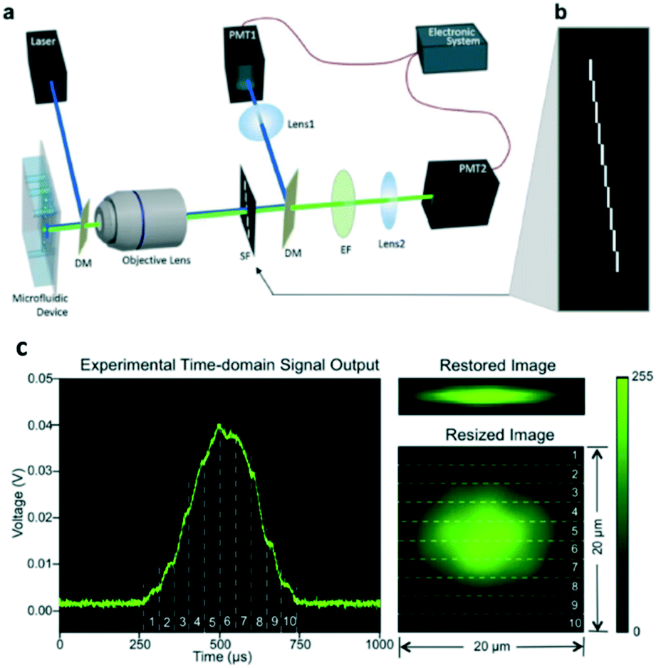 Review: imaging technologies for flow cytometry - Lab on a Chip (RSC ...