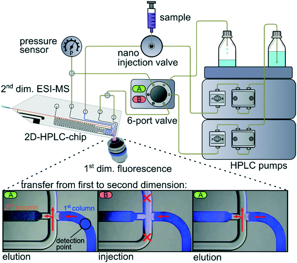 Enantioselective reaction monitoring utilizing two-dimensional heart ...