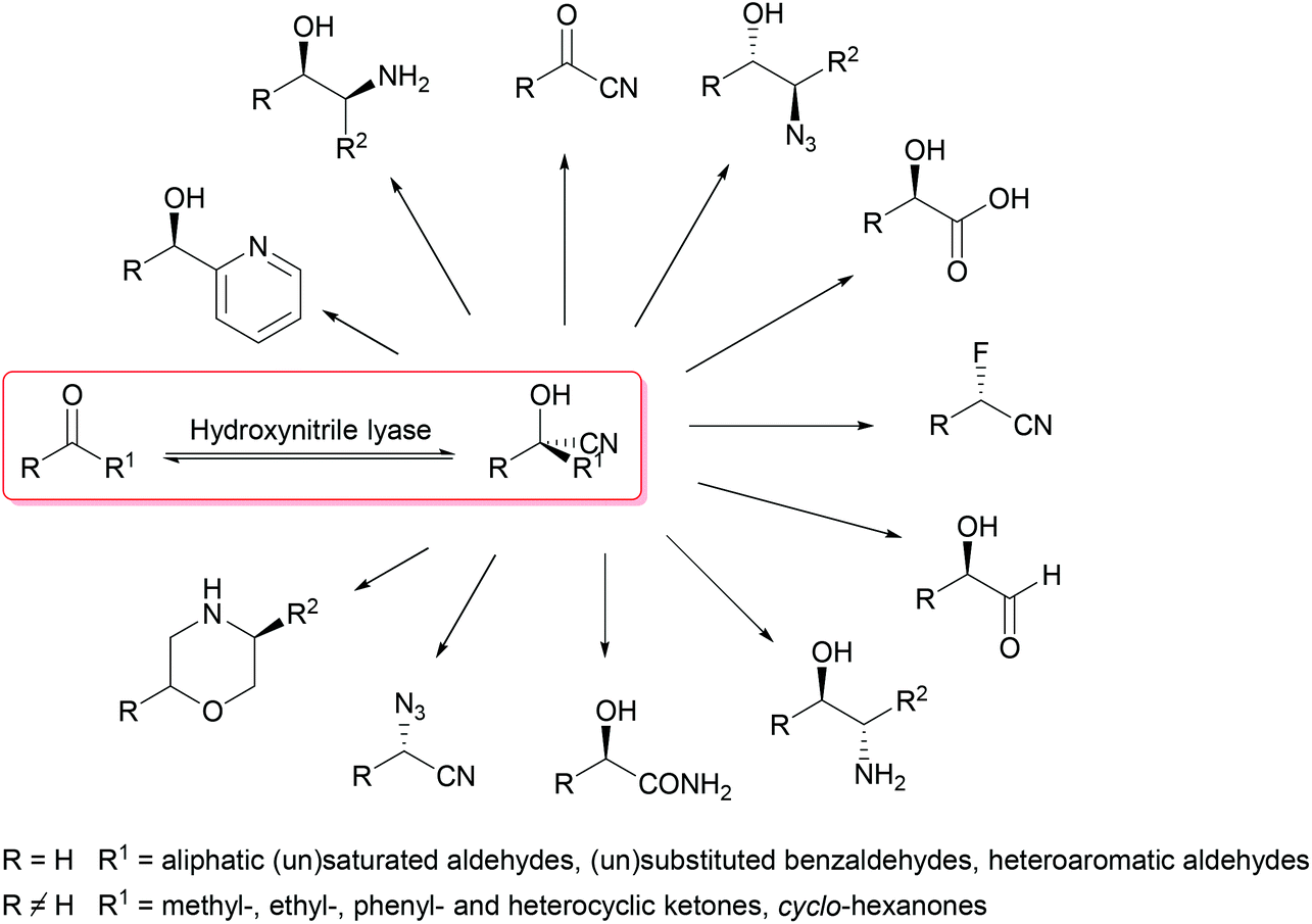 Enantioselective synthesis of cyanohydrins catalysed by hydroxynitrile ...