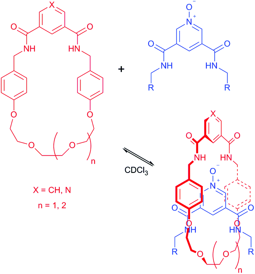 The synthesis of a pyridine- N -oxide isophthalamide rotaxane utilizing ...