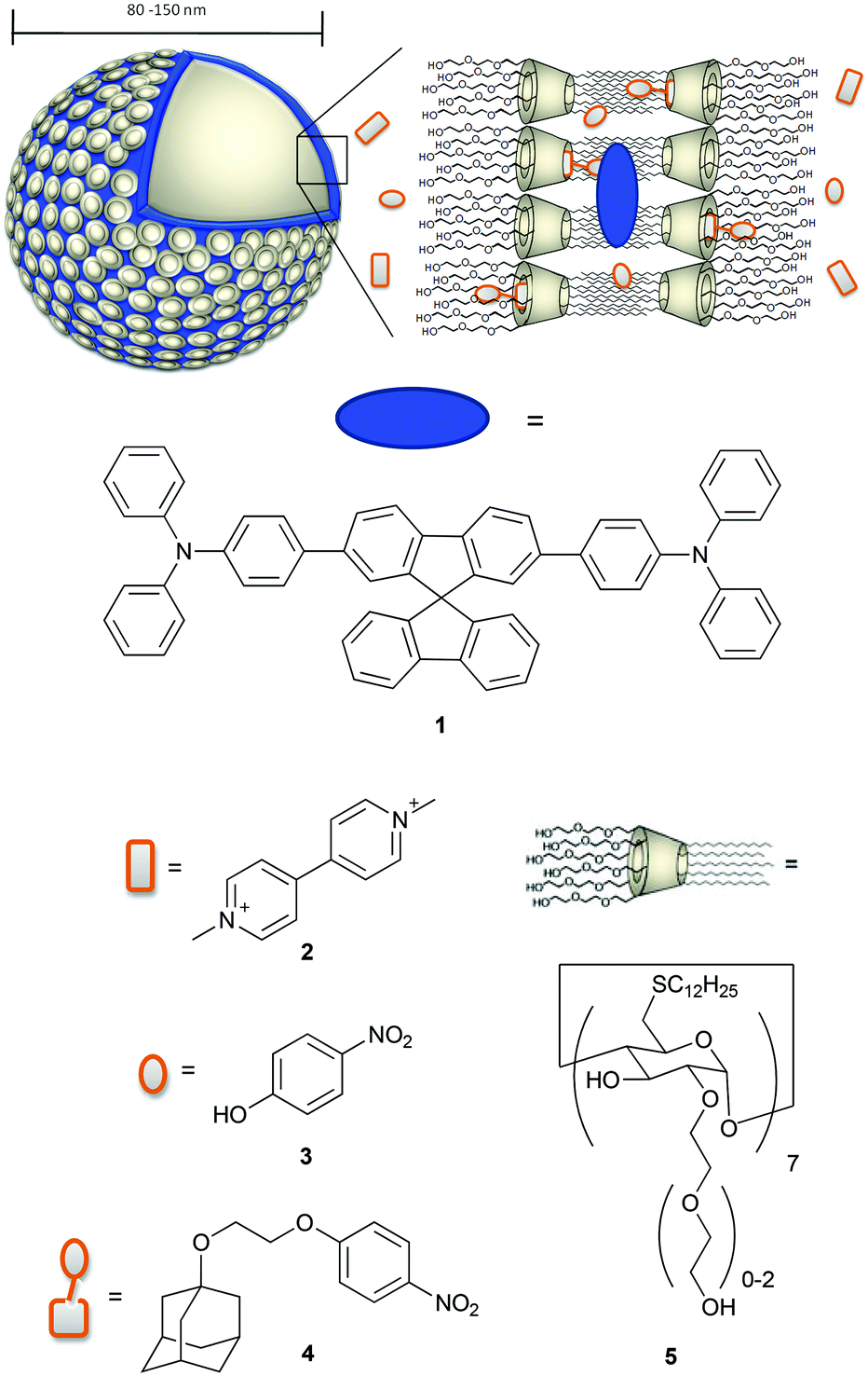 Fluorescence quenching in β-cyclodextrin vesicles: membrane confinement and host–guest ...