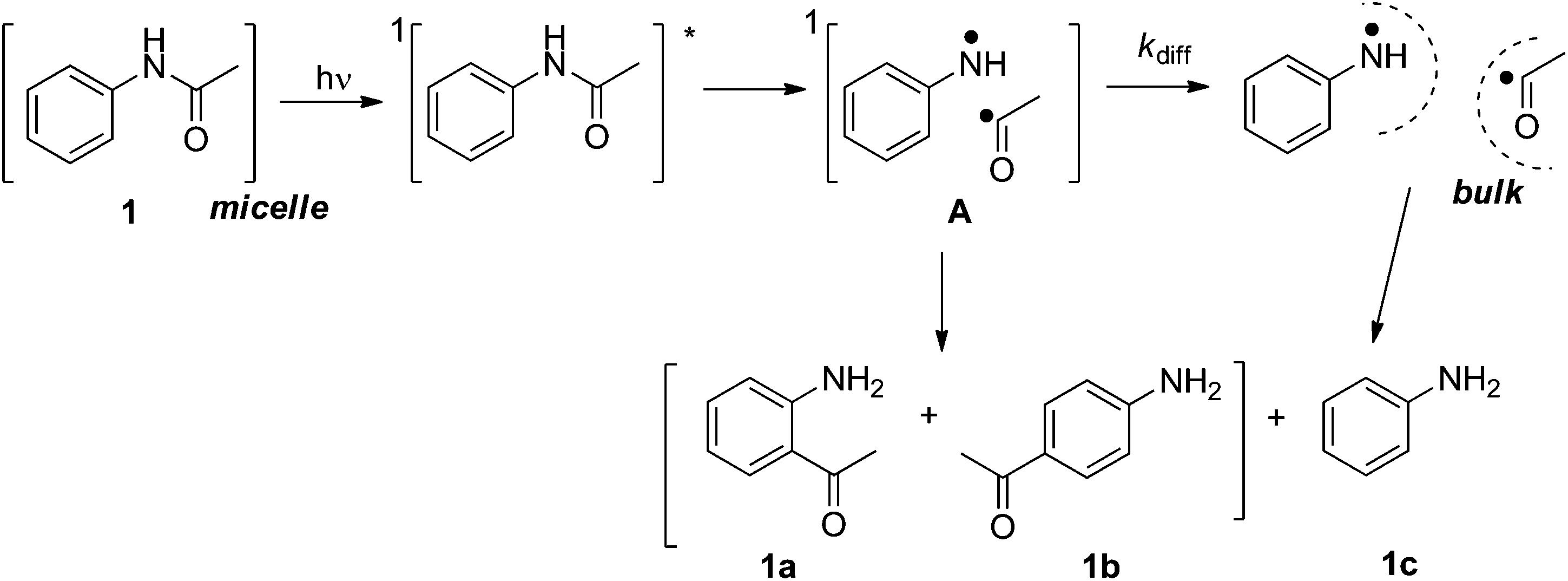 😂 Hydrolysis of acetanilide mechanism. The acid. 2019-01-22
