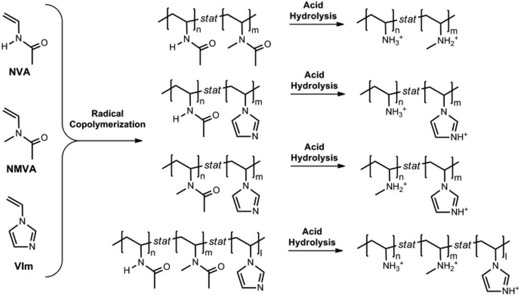 Far beyond primary poly(vinylamine)s through free radical ...